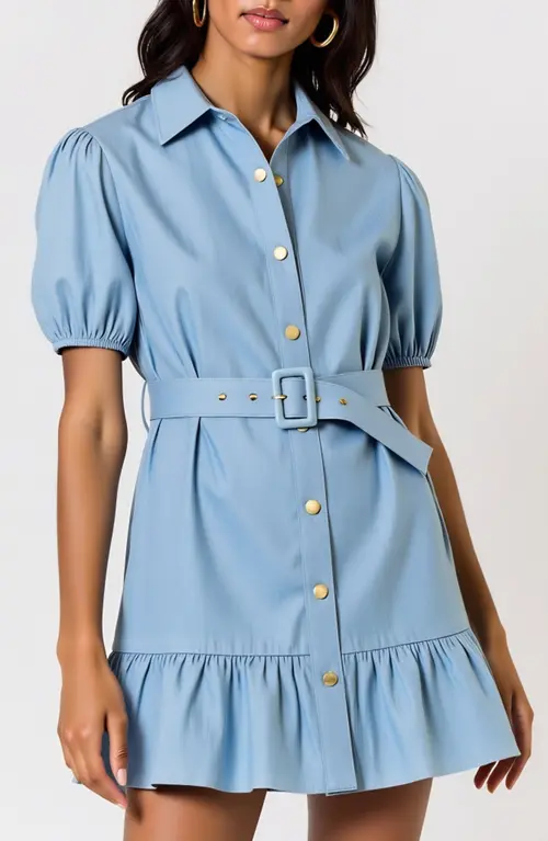 MODENAIRE Short Sleeve Button-up Mini Dress - Blue