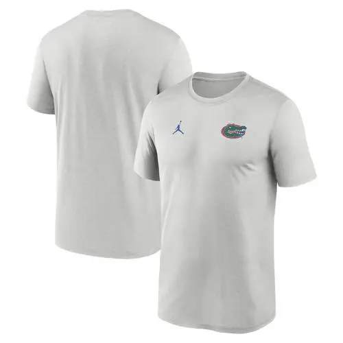 JORDAN BRAND Florida Gators 2025 Sideline Small Logo Legend Performance T-shirt - Gray