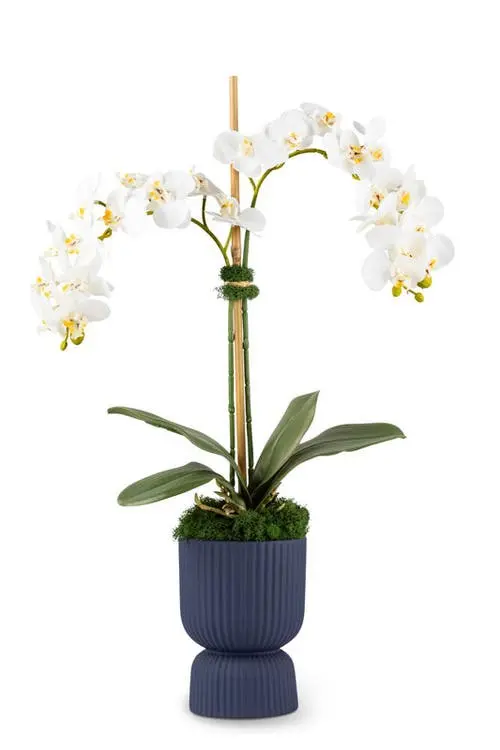 COCOBELLA Cruz Realtouch Pedestal Orchid - Snow