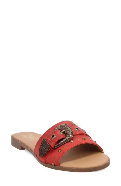 DINGO Lariat Slide Sandal