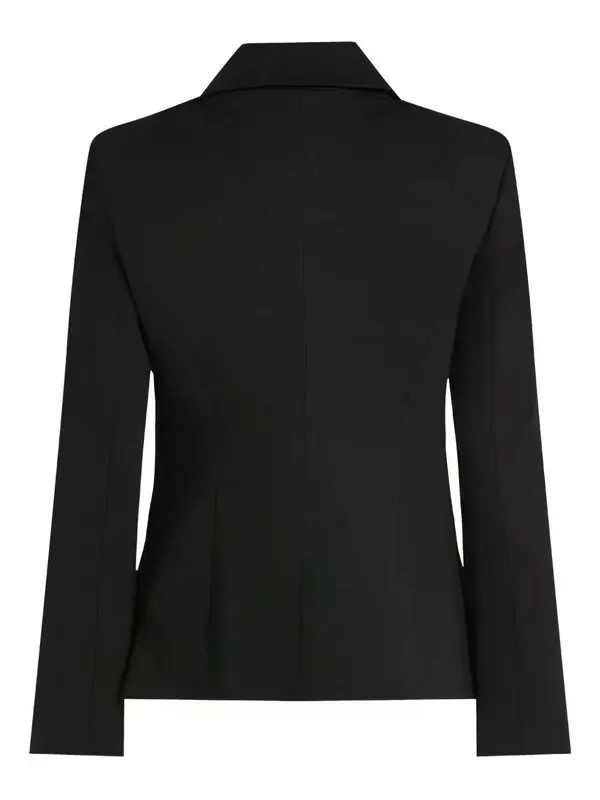 Karl Lagerfeld Button-up Blazer