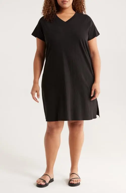 Eileen Fisher V-neck Organic Cotton T-shirt Dress
