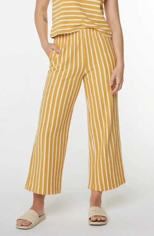 Roxy Java Stripe Cotton Terry Pants - Amber Gold