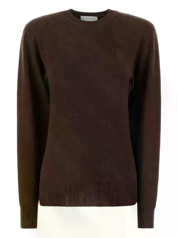 Stella McCartney Crew-neck Sweater - Brown