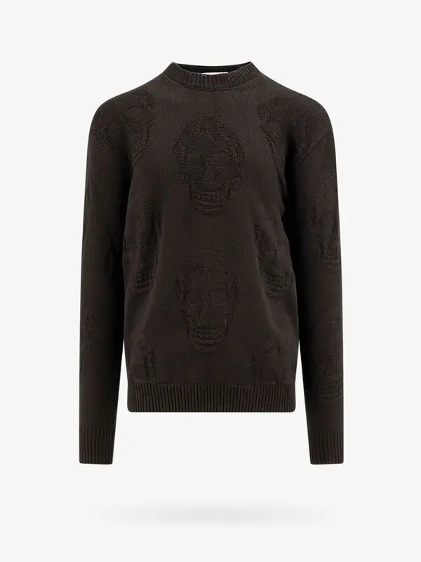 Alexander McQueen Cotton Sweater With Skull Motif