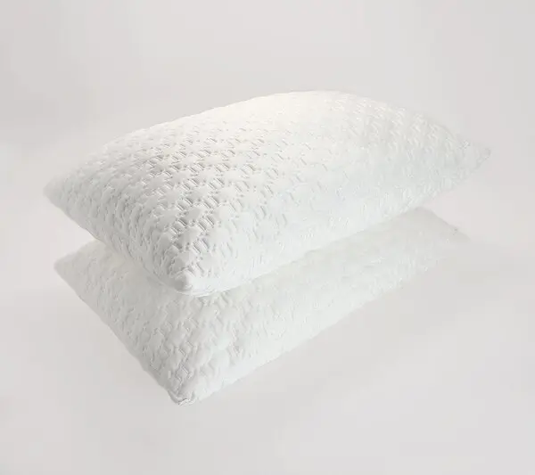 HOME REFLECTIONS As Is S/2 Hybrid Foam & Down Altcoolpillows - One-color