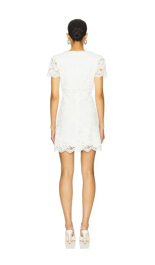 Likely Lace Embellished Dress