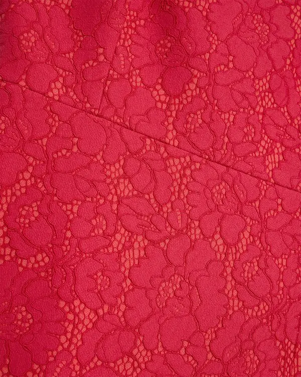 Ted Baker London Meriod Lace Mini Dress