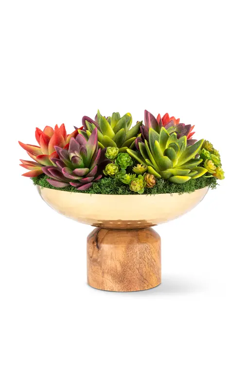 COCOBELLA Petra Succulent Wooden Pedestal Arrangement - Multi-color