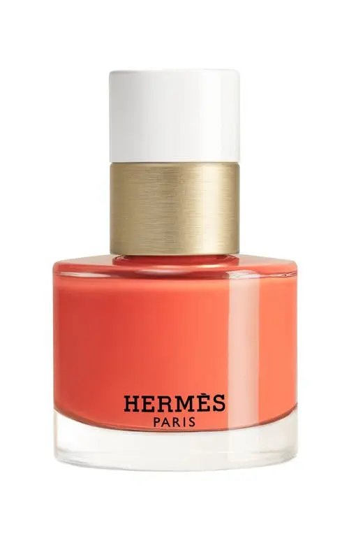 Hermès Les Mains Nail Polish - Orange Tulipsticke