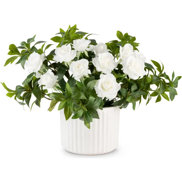COCOBELLA Lucienne Realtouch Rosebush Arrangement - White