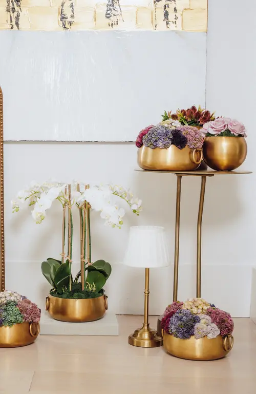 COCOBELLA Beatrix Gold Sedum Arrangement