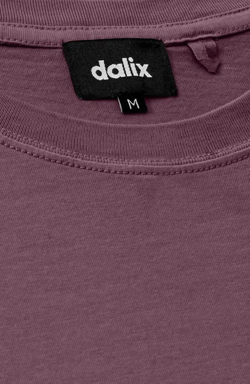 DALIX Lil Smile Midweight Garment Dye Tee - Plum