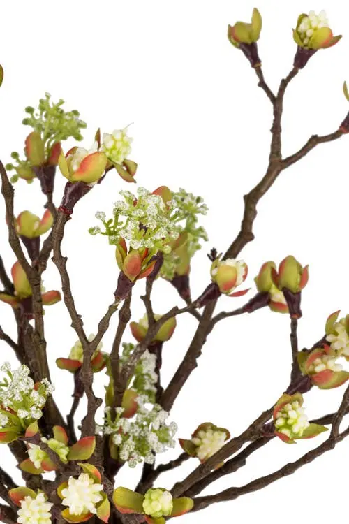 COCOBELLA Oriana Cherry Blossom Bud Arrangement