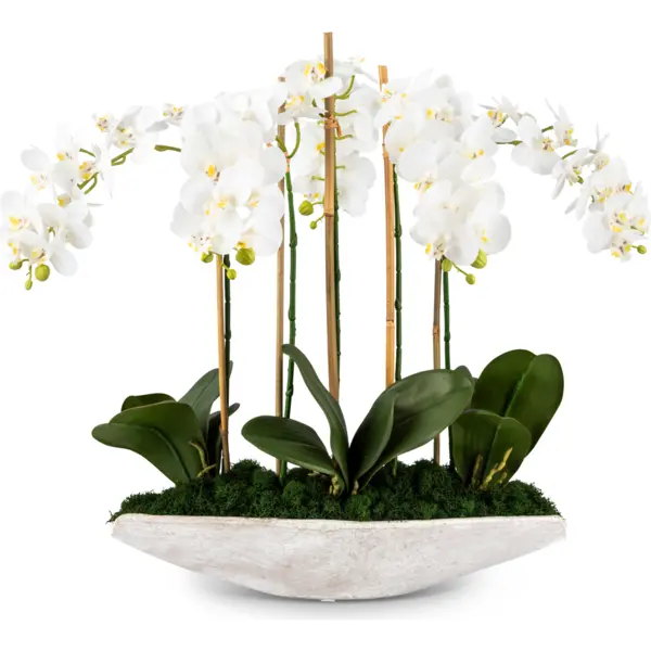 COCOBELLA Ciara Realtouch Orchid Planter - Snow