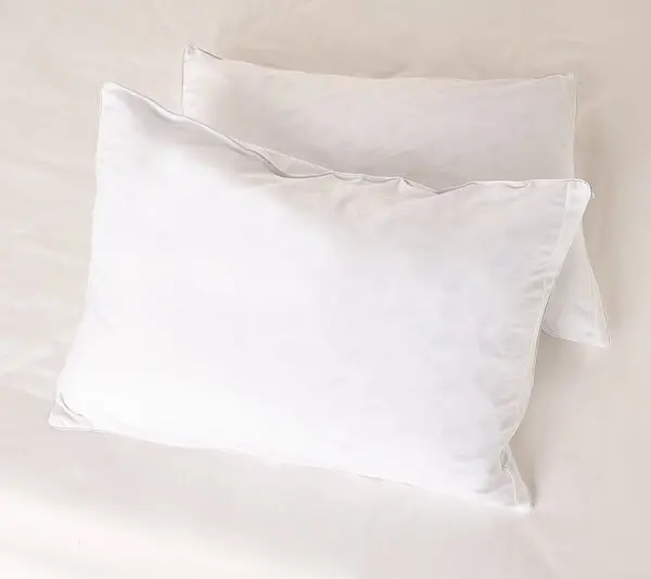 NORTHERN NIGHTS As Is Set Of 2 Tencel Spandex Pillow Protectr - One-color