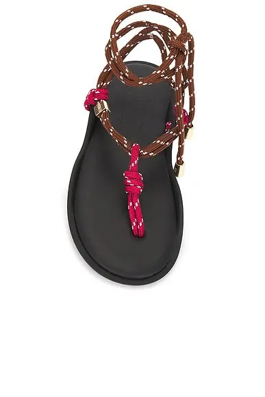 Flowze Flo Twin Sandal - Brown & Raspberry