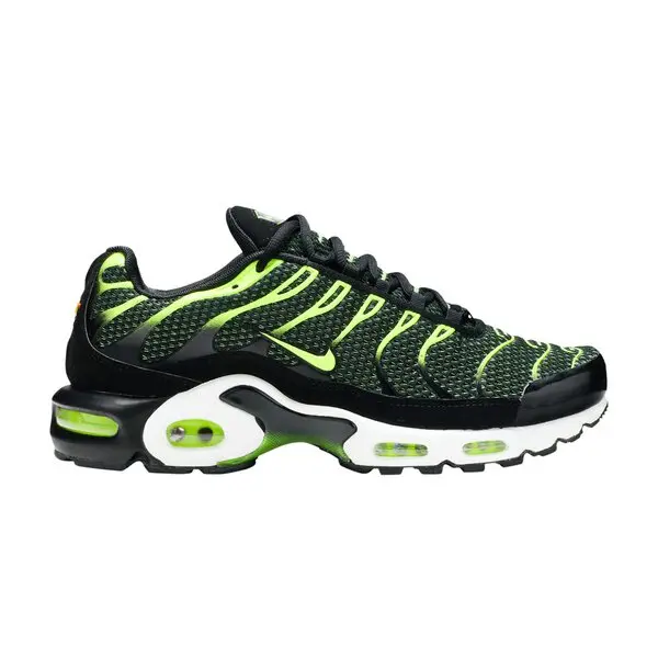 Nike Air Max Plus Sneakers - Black