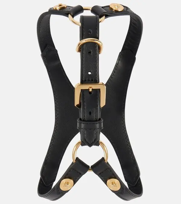 Versace Leather Dog Harness With Gold Hardware - Black