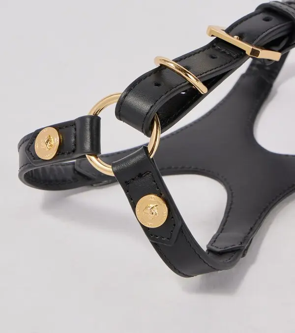 Versace Leather Dog Harness With Gold Hardware