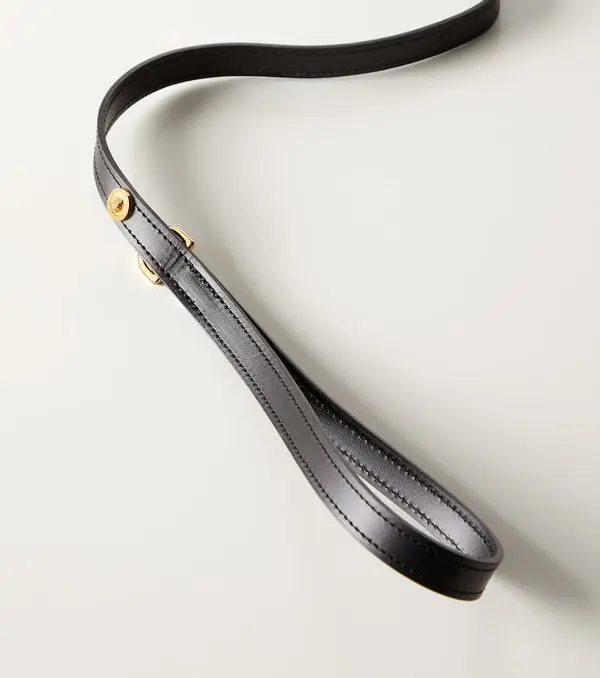 Versace Leather Dog Leash With Gold Tone Hardware