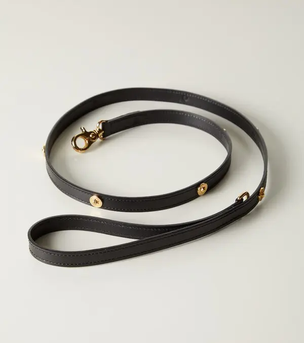 Versace Leather Dog Leash With Gold Tone Hardware