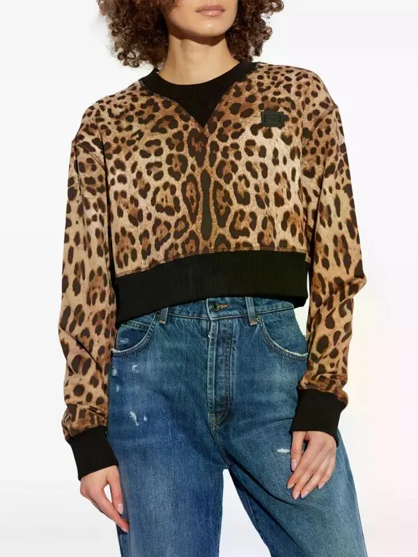 Dolce & Gabbana Leopard-print Jumper