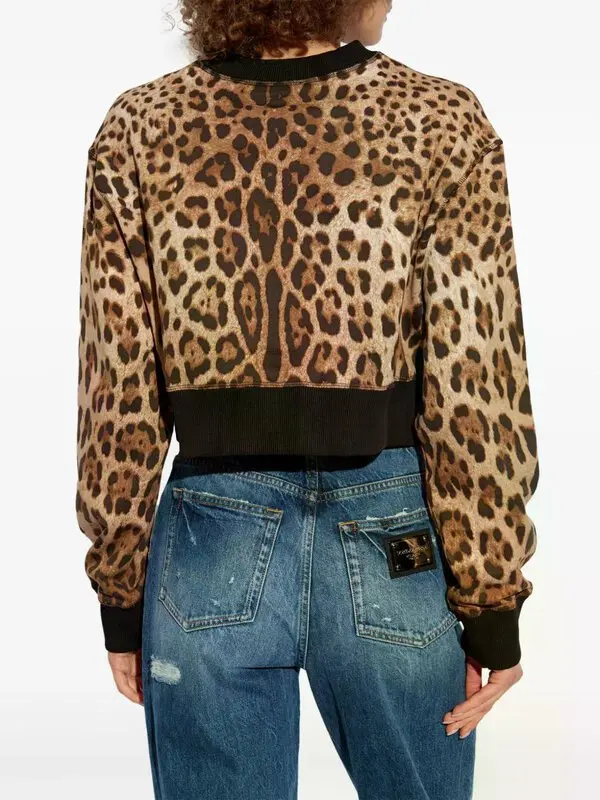 Dolce & Gabbana Leopard-print Jumper