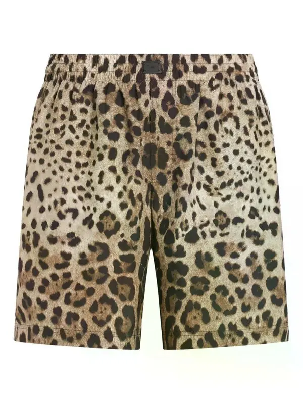 Dolce & Gabbana Leopard-print Swim Shorts - Neutrals