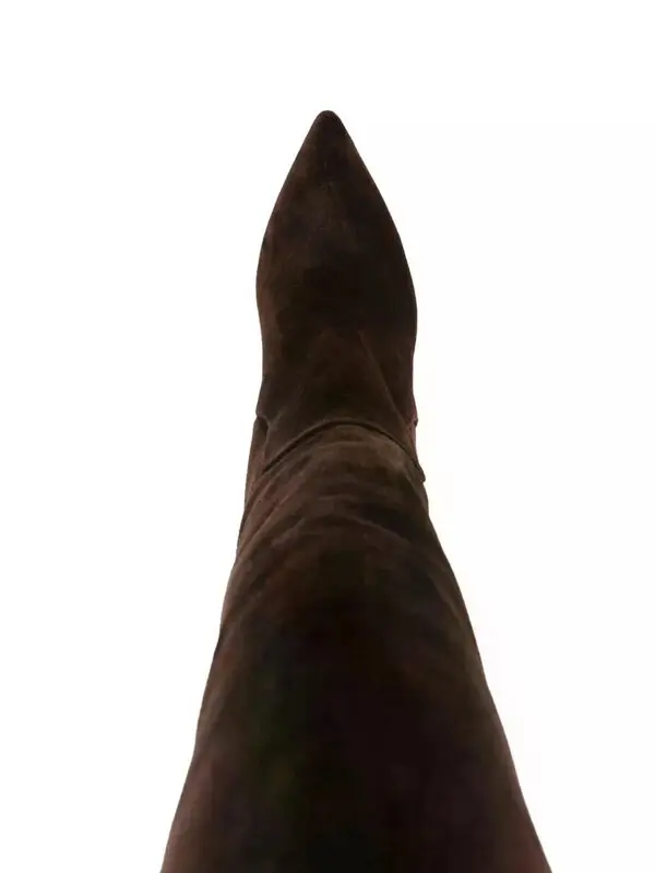 Paris Texas Suede Pointed-toe Mid-calf Boots