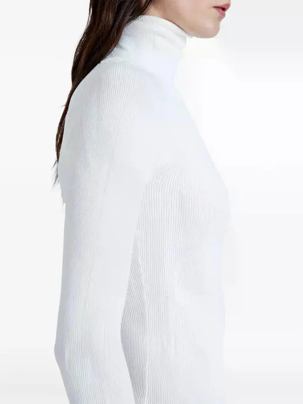 Proenza Schouler Ribbed Knit Roll Neck Jumper