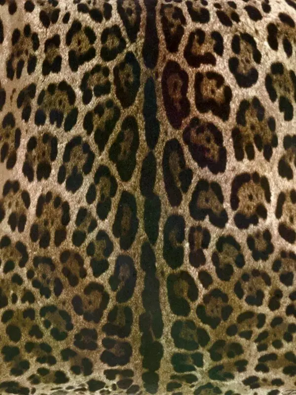 Dolce & Gabbana Medium Leopardo-print Velvet Cushion