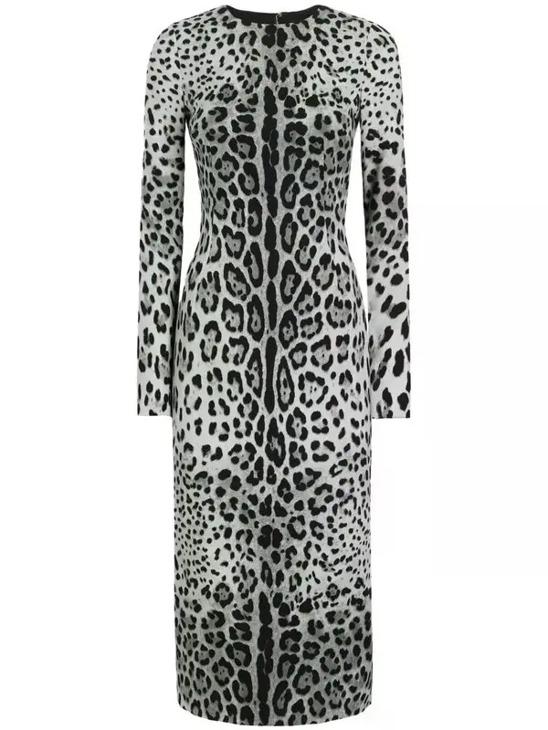 Dolce & Gabbana Leopard-print Dress