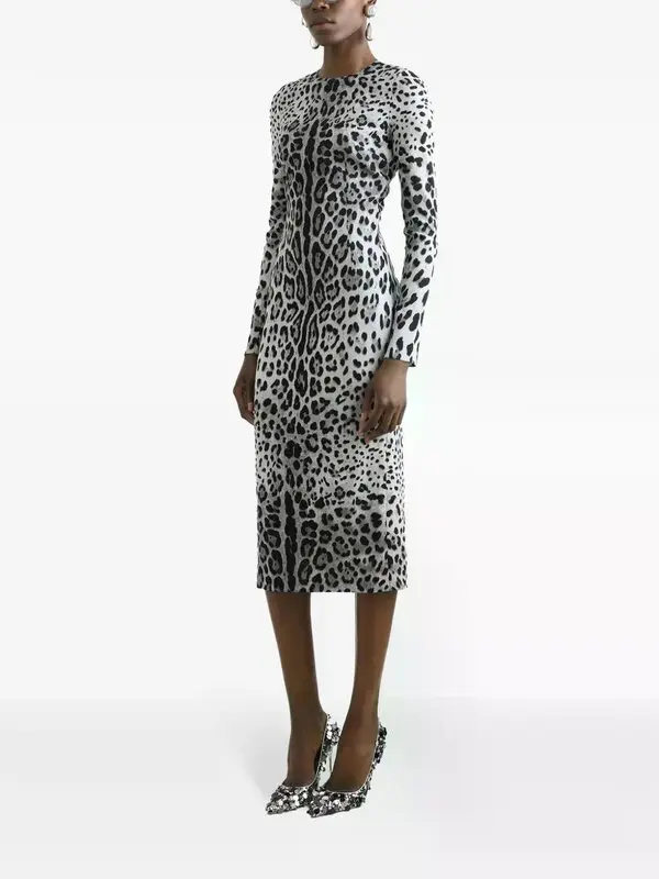 Dolce & Gabbana Leopard-print Dress
