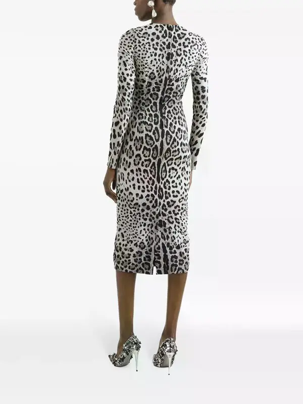 Dolce & Gabbana Leopard-print Dress