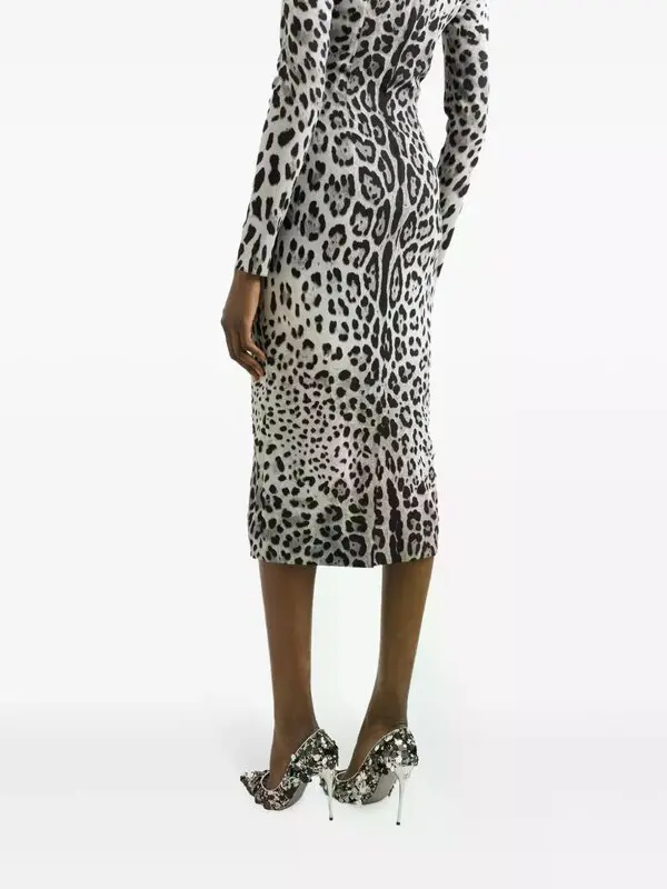 Dolce & Gabbana Leopard-print Dress