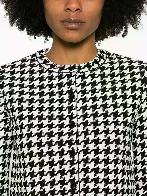 Alexander McQueen Houndstooth Jacket