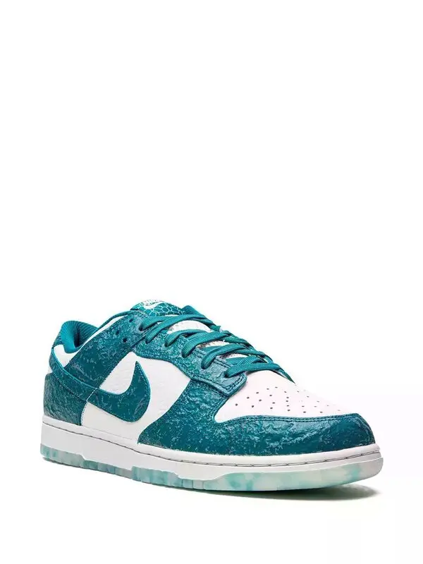 Nike Dunk Low Sneakers