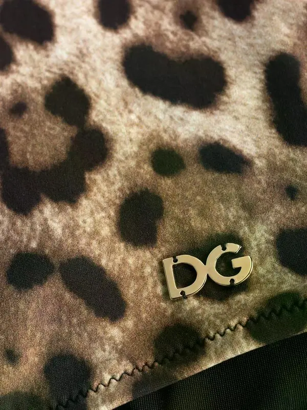 Dolce & Gabbana Leopard-print Balconette Swimsuit
