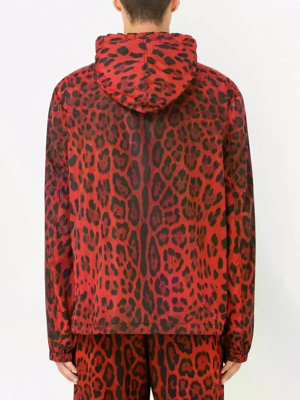Dolce & Gabbana Leopard-print Hooded Jacket