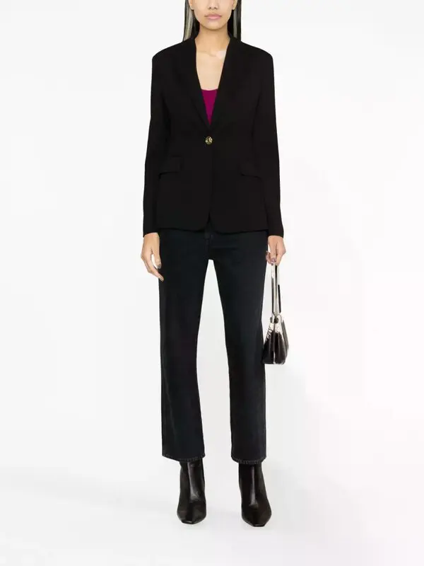 Pinko Single-breasted Button Blazer - Black