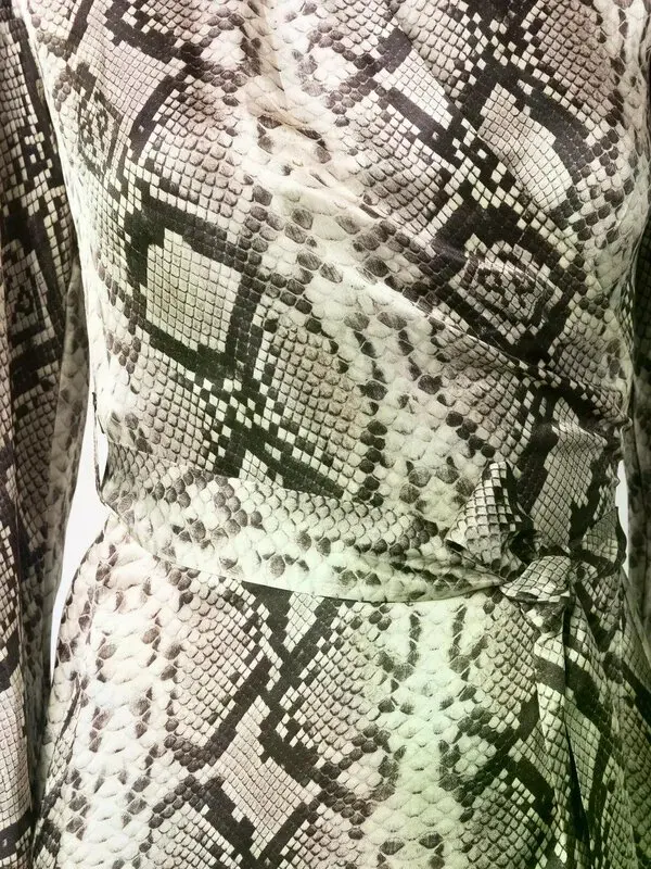 Philipp Plein Python-print Silk Long Dress
