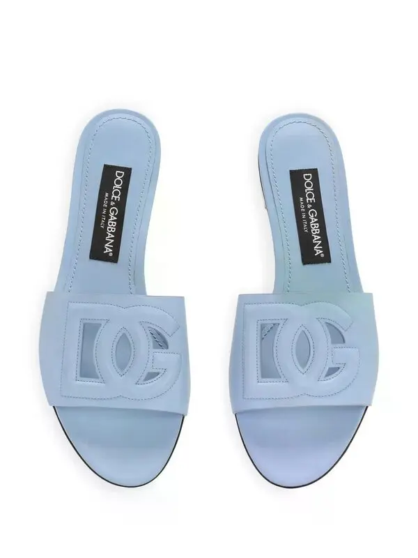 Dolce & Gabbana Dna Dg Logo Leather Sandals - Blue
