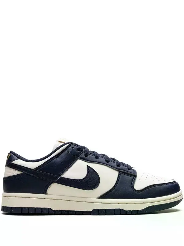 Nike Dunk Low Sneakers