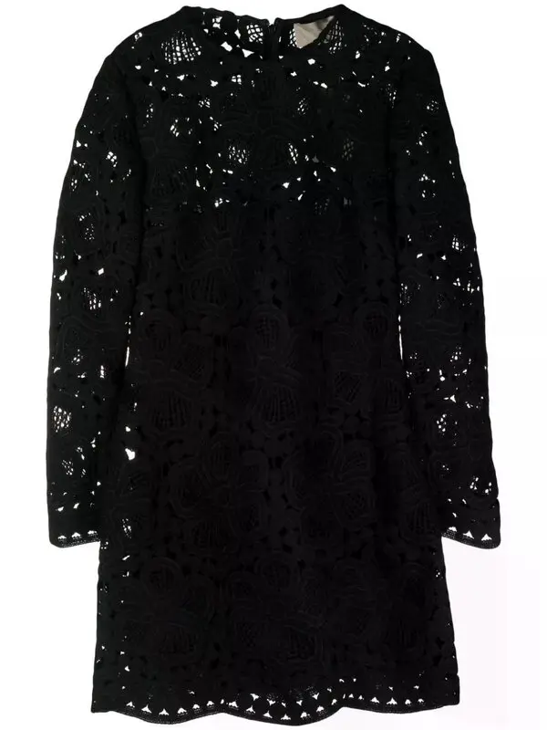 Elie Saab Floral-macramé Weaved Minidress