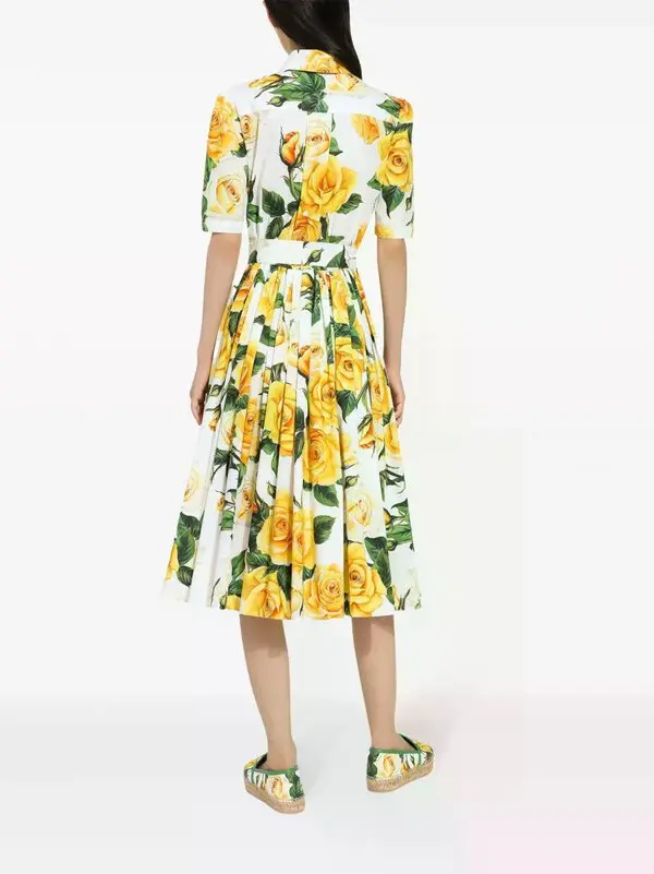 Dolce & Gabbana Rose-print Cotton Midi-dress