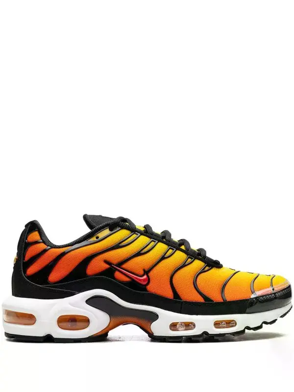 Nike Air Max Plus Sneakers