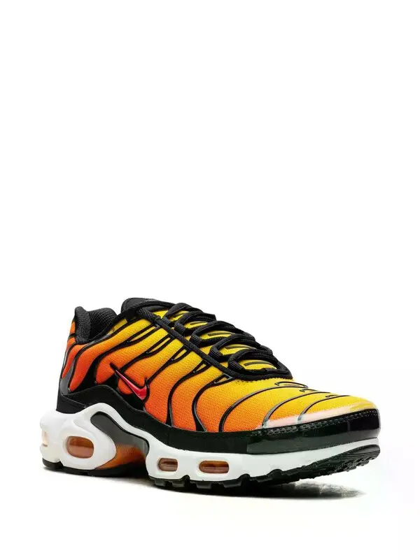 Nike Air Max Plus Sneakers