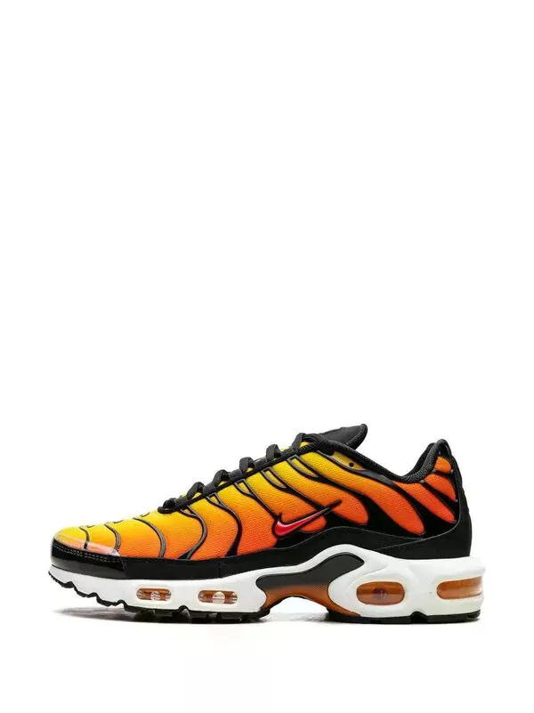 Nike Air Max Plus Sneakers