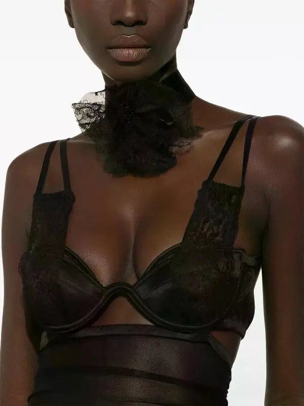 Dolce & Gabbana Bustier-style Sheer Midi Dress